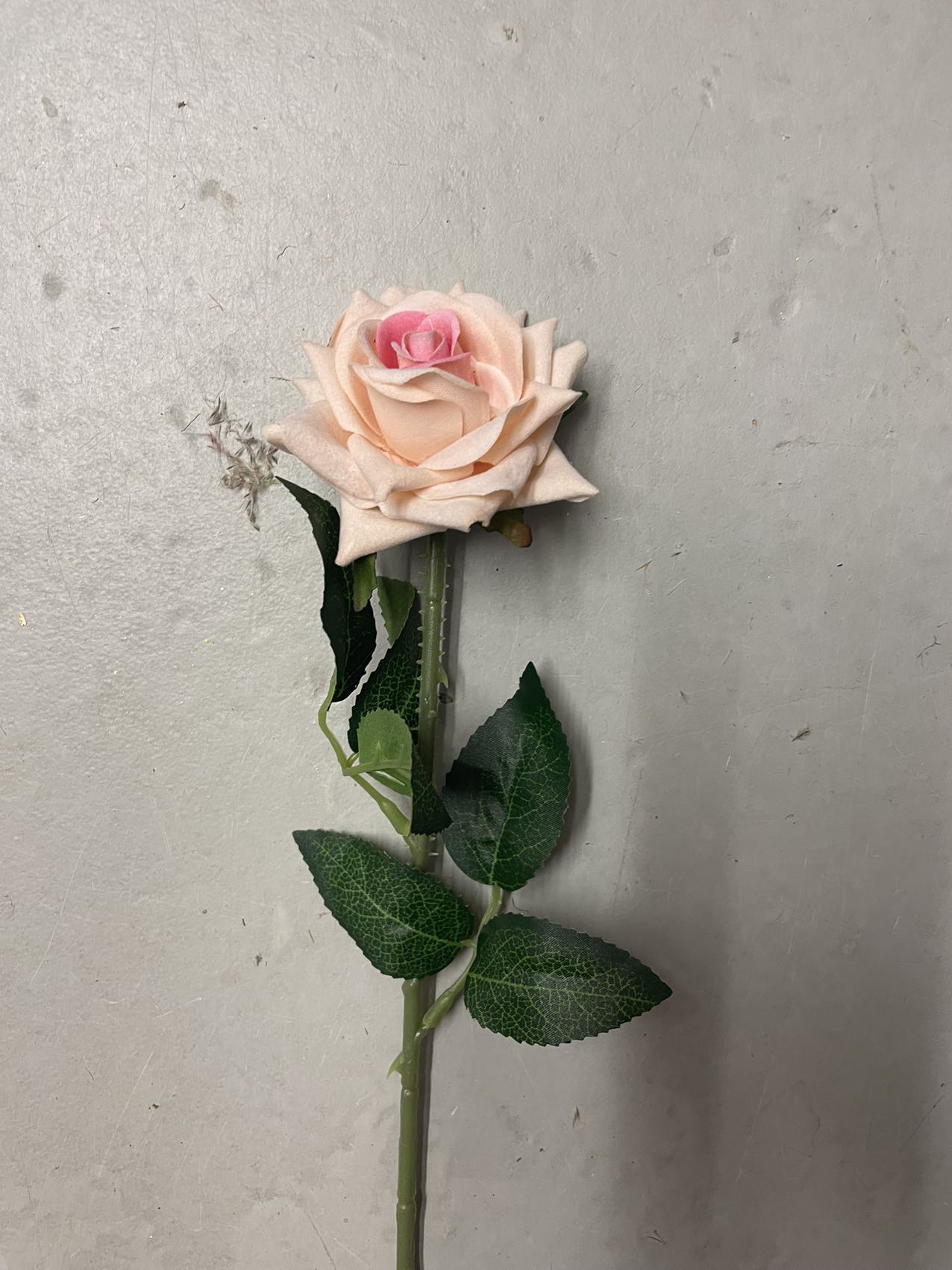 Clearance! Artificial Flower Small Rose Champagne NZ$0.90 - newbrightparty